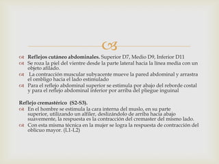 Evaluación de los reflejos | PPTX