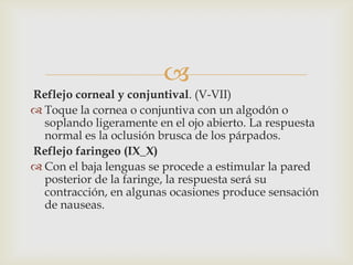 Evaluación de los reflejos | PPTX
