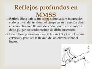 Evaluación de los reflejos | PPTX