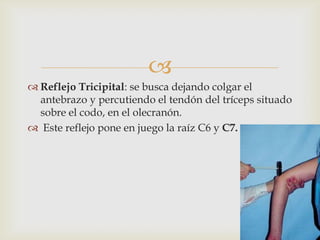 Evaluación de los reflejos | PPTX