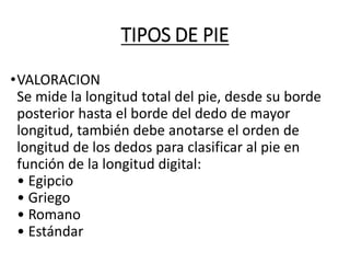 EVALUACIÓN DEL PIE (6).pdf descripción tipos | PDF