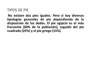 EVALUACIÓN DEL PIE (6).pdf descripción tipos | PDF