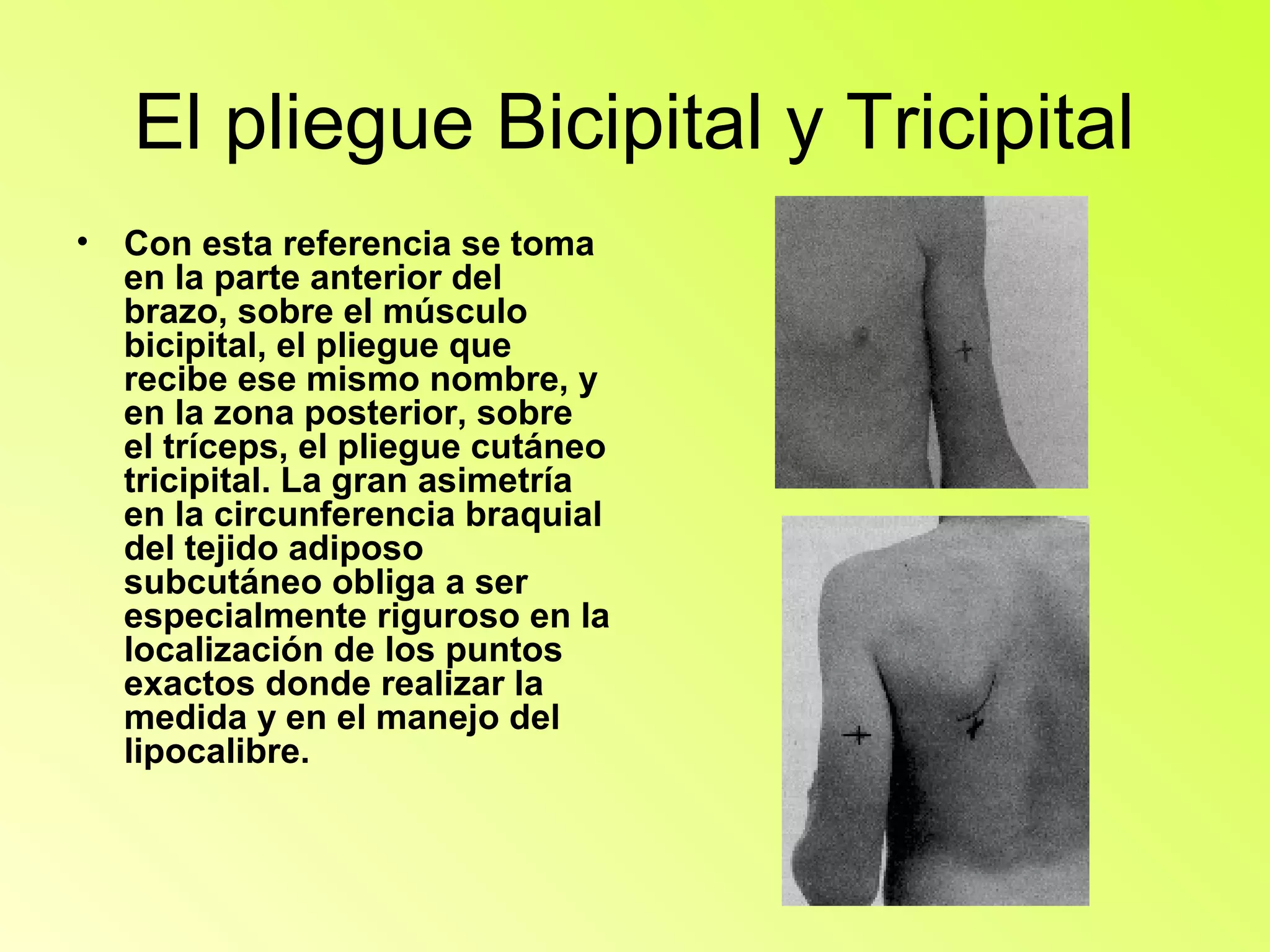 Evaluación de pliegues cutáneos | PPT