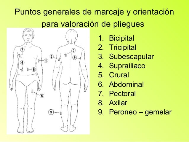 Evaluación de pliegues cutáneos