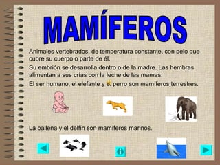 mamíferos | PPT
