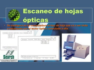 Evaluación masiva de personal | PPT