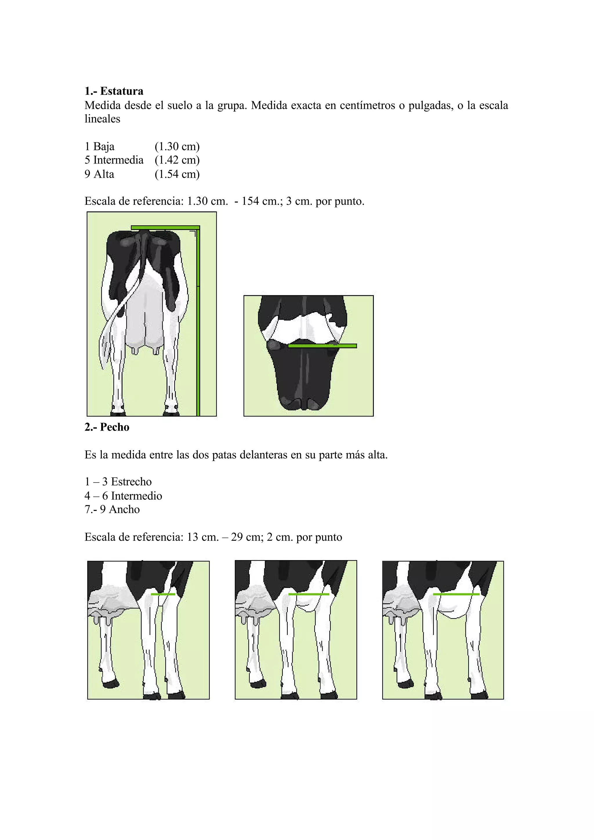 Evaluación morfologica del ganado de leche whff | PDF