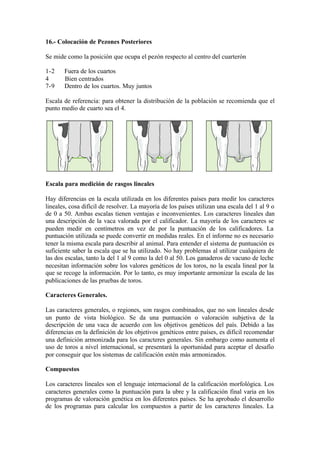 Evaluación morfologica del ganado de leche whff | PDF