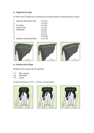 Evaluación morfologica del ganado de leche whff | PDF