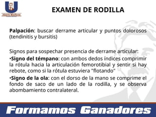 Evaluación Musculoesquelético para el examen físico .ppt