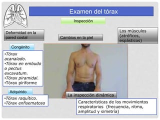 Evaluación Respiratoria en Fisioterapia.pptx