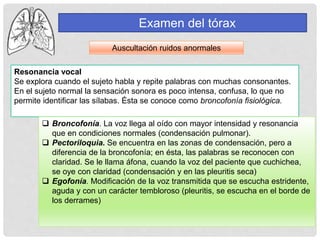 Evaluación Respiratoria en Fisioterapia.pptx