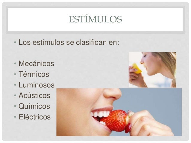 Evaluación sensorial 1