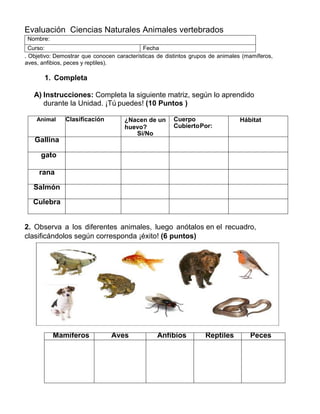 Evaluacion animales vertebrados documento word. | DOCX