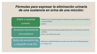 EVALUACIÓN BÁSICA DE LA FUNCIÓN RENAL EN PEDIATRÍA.pptx