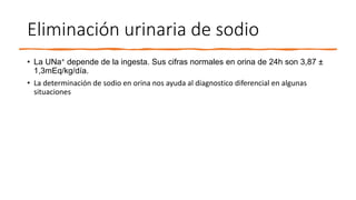 EVALUACIÓN BÁSICA DE LA FUNCIÓN RENAL EN PEDIATRÍA.pptx
