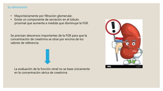 EVALUACIÓN BÁSICA DE LA FUNCIÓN RENAL EN PEDIATRÍA.pptx