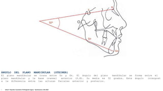 Evaluacion cefalometrica lateral para cirugía Ortognatica | PPTX