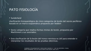Evaluacion de la funcion del nervio facial | PPTX