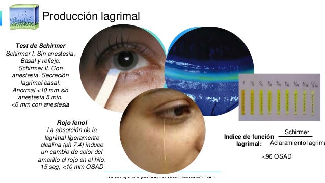 Evaluacion de la pelicula lagrimal