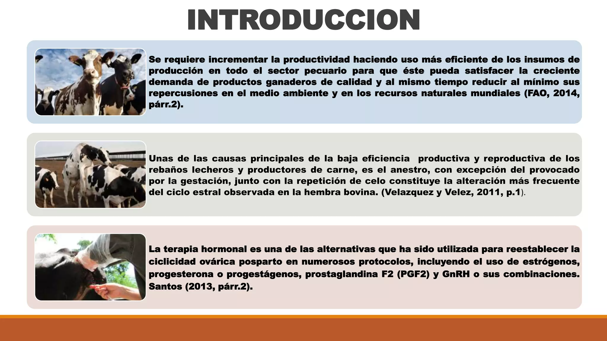 Evaluación del protocolo de sincronización ovsynch | PPT