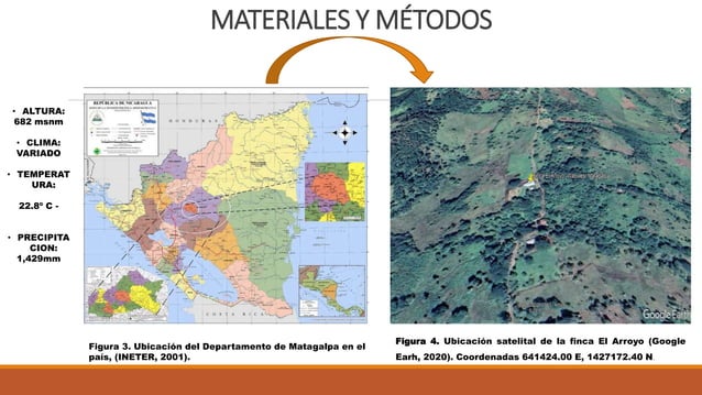 Evaluación del protocolo de sincronización ovsynch | PPT