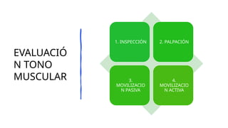 Evaluacion del Tono Muscular .pptx neurodesarrollo | PPTX