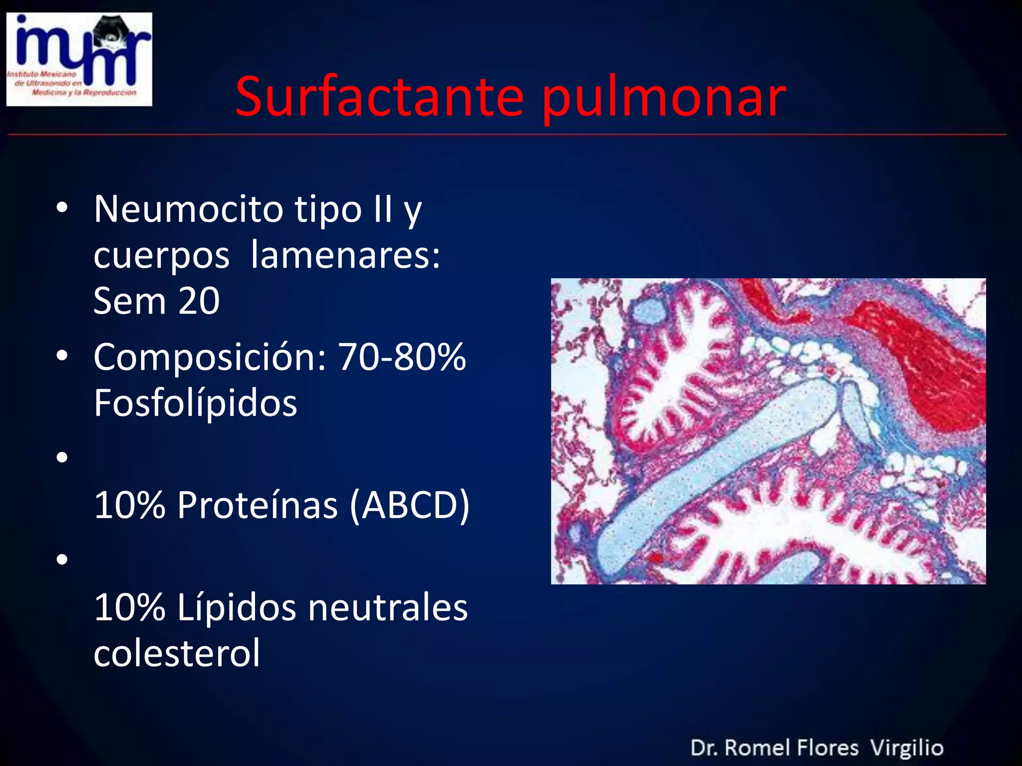 Evaluacion del torax fetal por ultrasonido. dr. romel flores | PDF ...