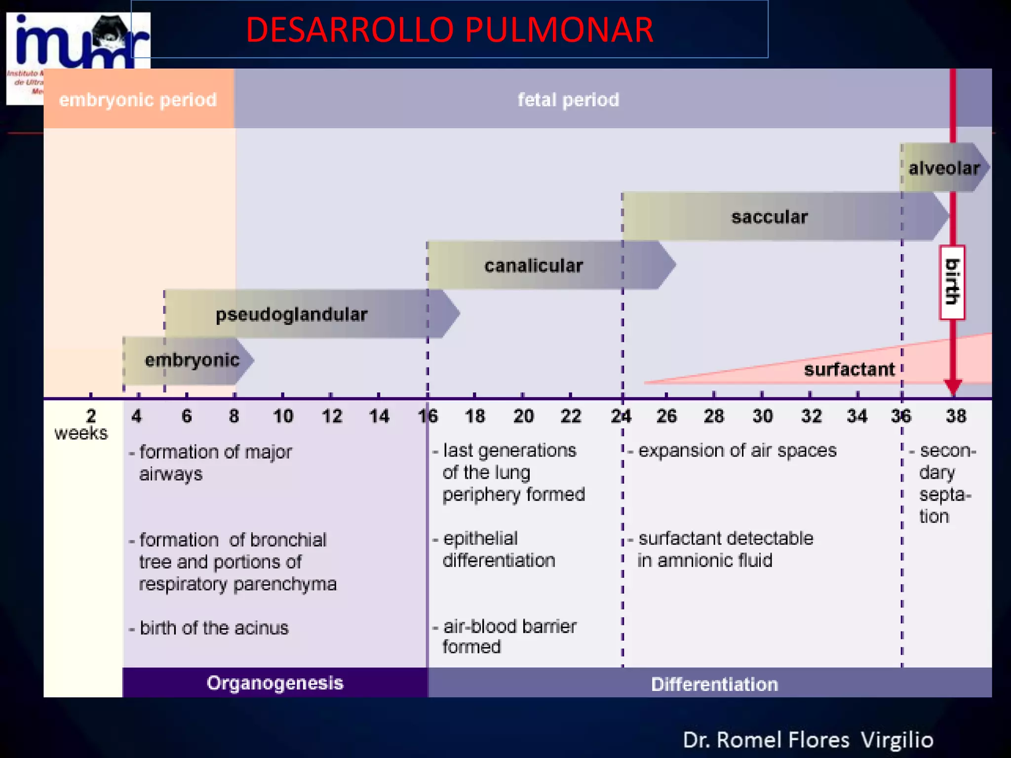 Evaluacion del torax fetal por ultrasonido. dr. romel flores | PDF ...