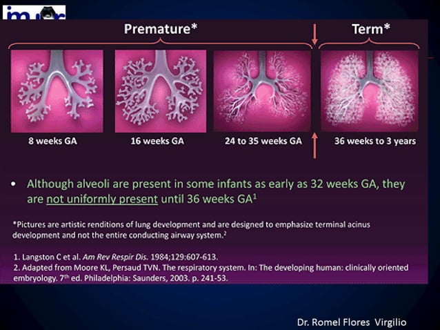 Evaluacion del torax fetal por ultrasonido. dr. romel flores | PDF ...
