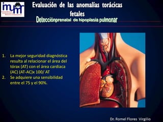 Evaluacion del torax fetal por ultrasonido. dr. romel flores | PDF