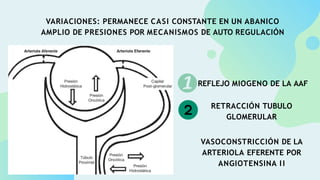 evaluacion de patología renal ANGEL OROPEZA.pptx