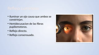 evaluacion de pupila1...............pptx