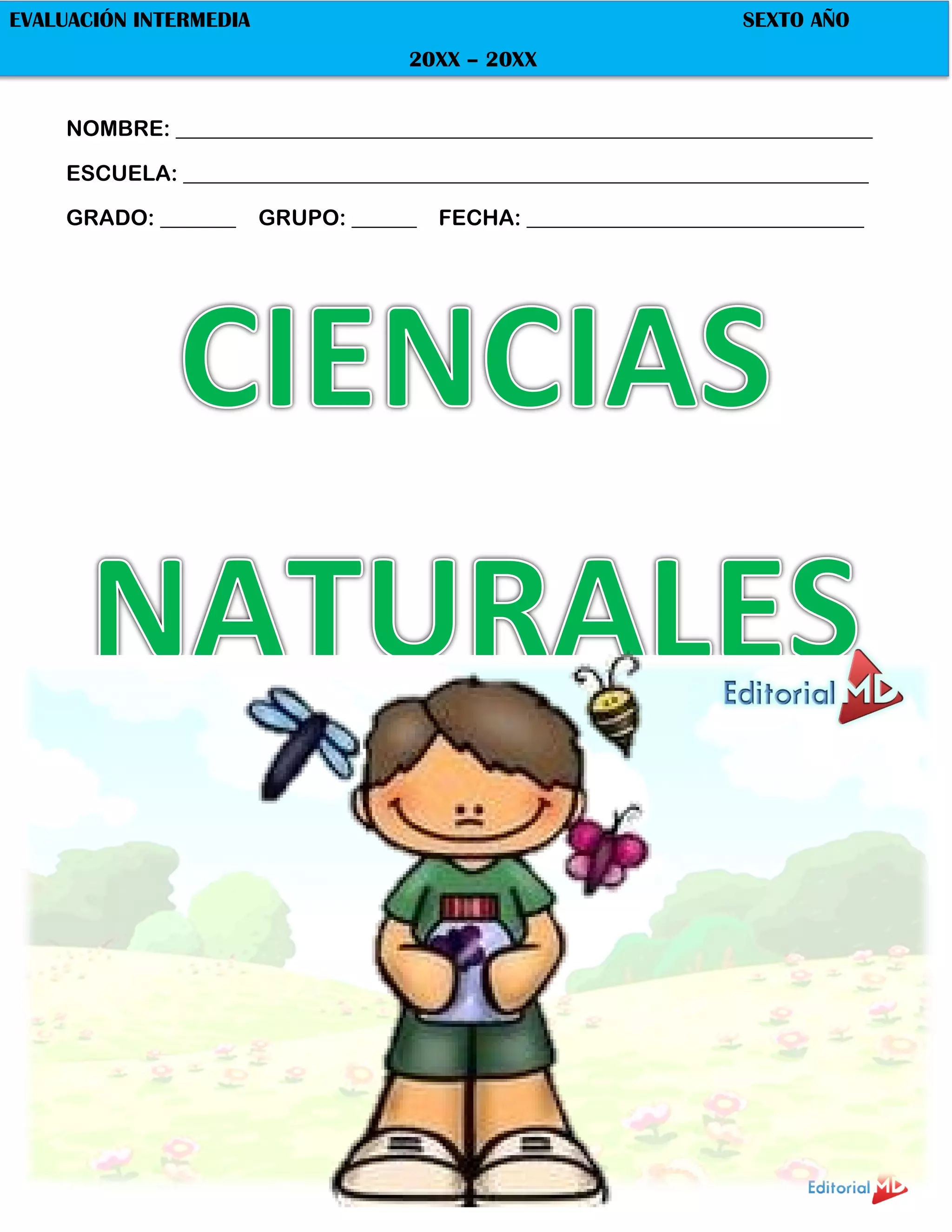 Evaluacion intermedia de primaria 6° grado | PDF