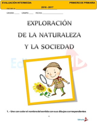 Evaluacion intermedia primero de primaria | DOCX