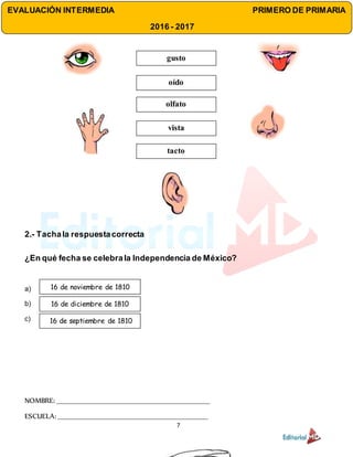 Evaluacion intermedia primero de primaria | DOCX