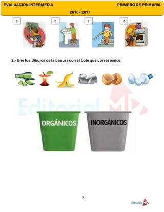 Evaluacion intermedia primero de primaria | DOCX