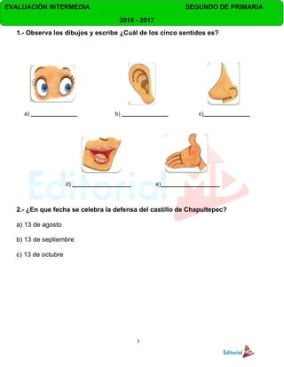 Evaluacion intermedia segundo de primaria | PDF
