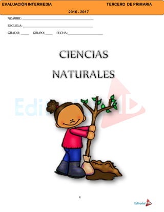 Evaluacion intermedia tercero de primaria | DOCX