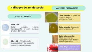 Evaluacion_maduracin_fetal OBSTETRICIA I.pptx