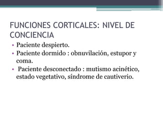 Evaluacion neuropsicologica | PDF