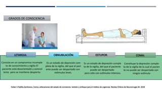 evaluacion de un paciente en coma, parac | PPTX