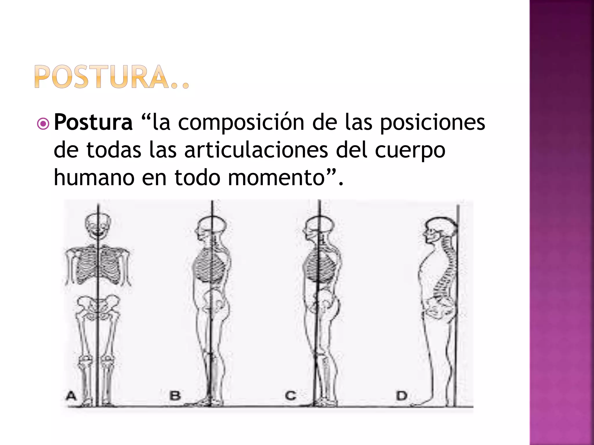 Evaluacion postural | PPTX | Foot Health | Diseases and Conditions