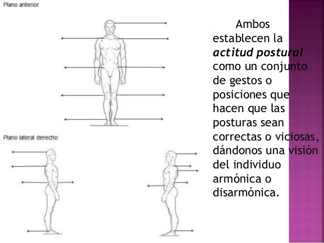 Evaluacion postural
