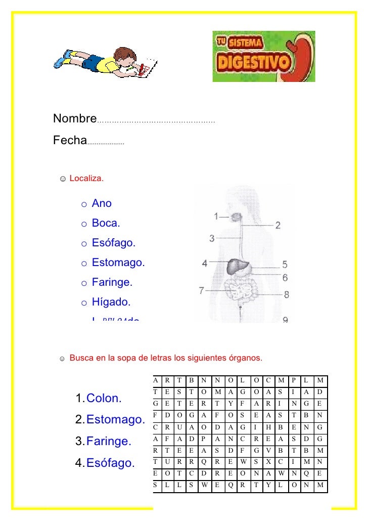 Digestivo Sopa De Letras 001 Images