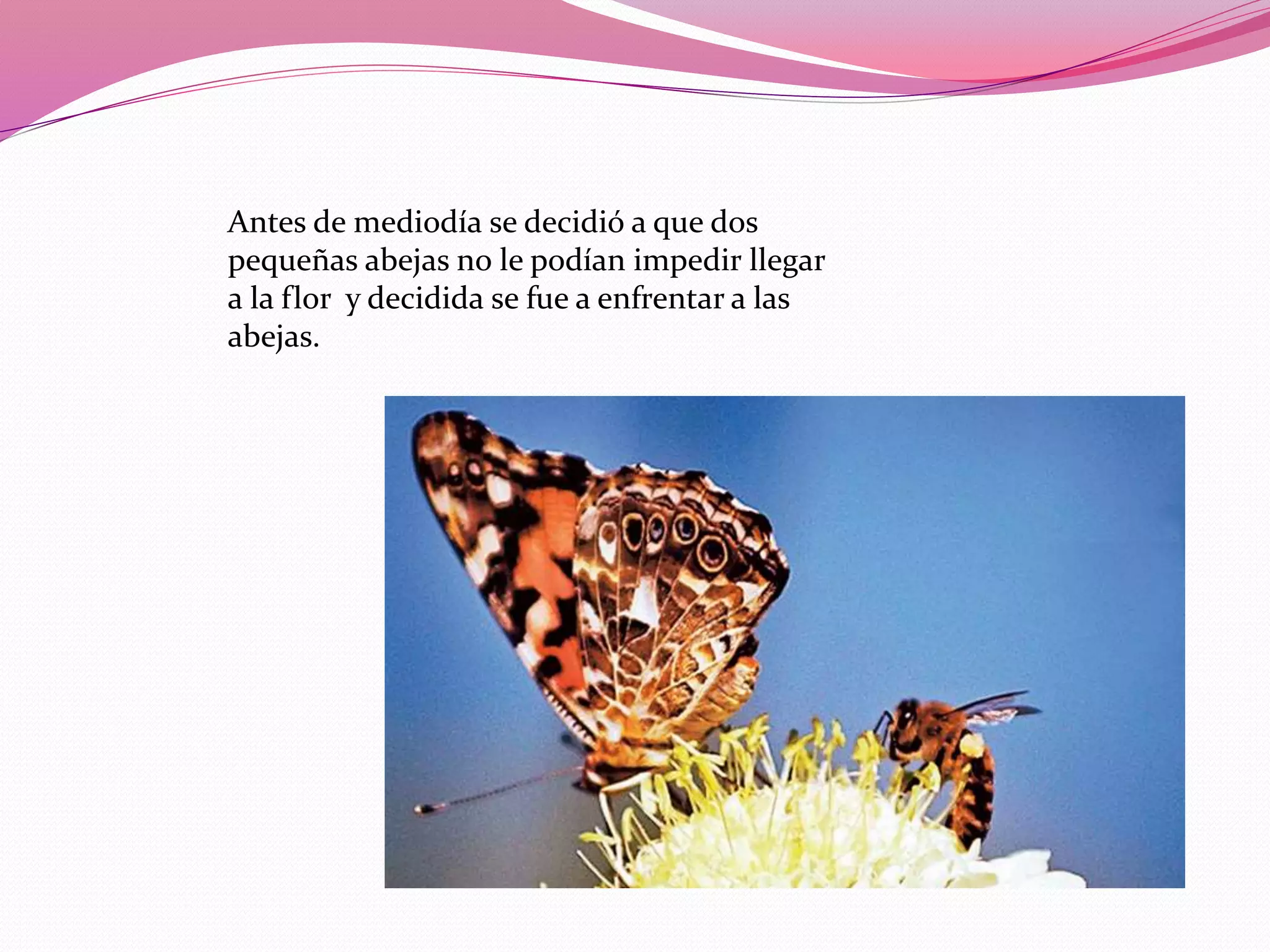 Evaluacion una pequeña mariposa mari | PPTX