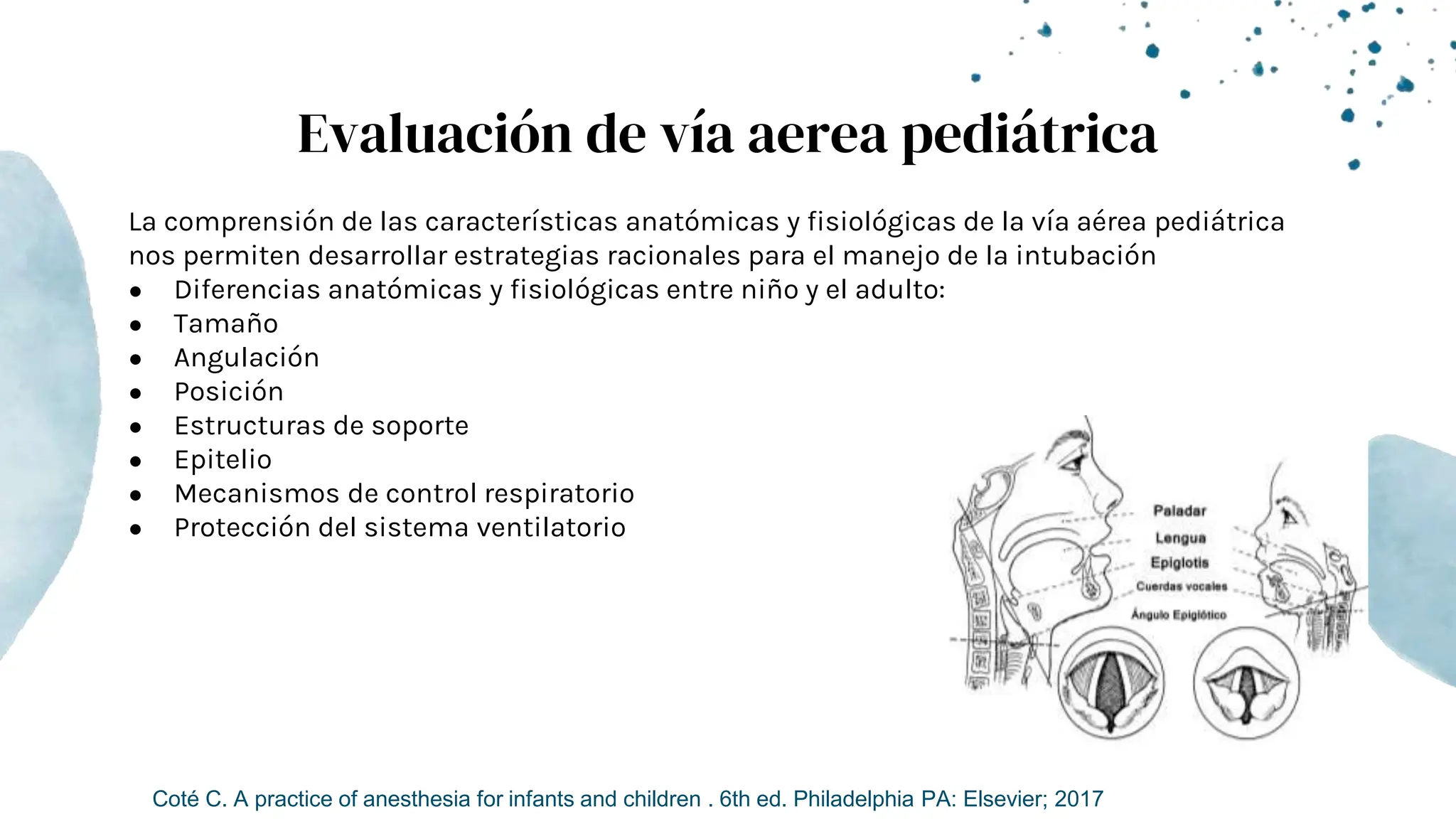 Evaluacion Via Aerea Pediatrica En Anestesiologia Pptx