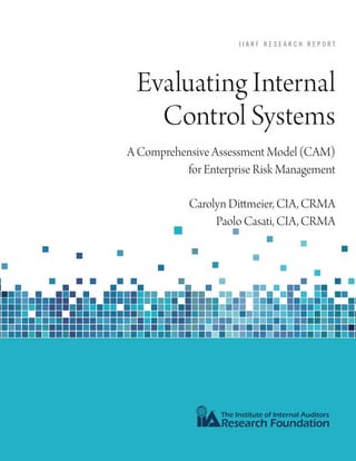 Evaluating-Internal-Control-Systems.pdf