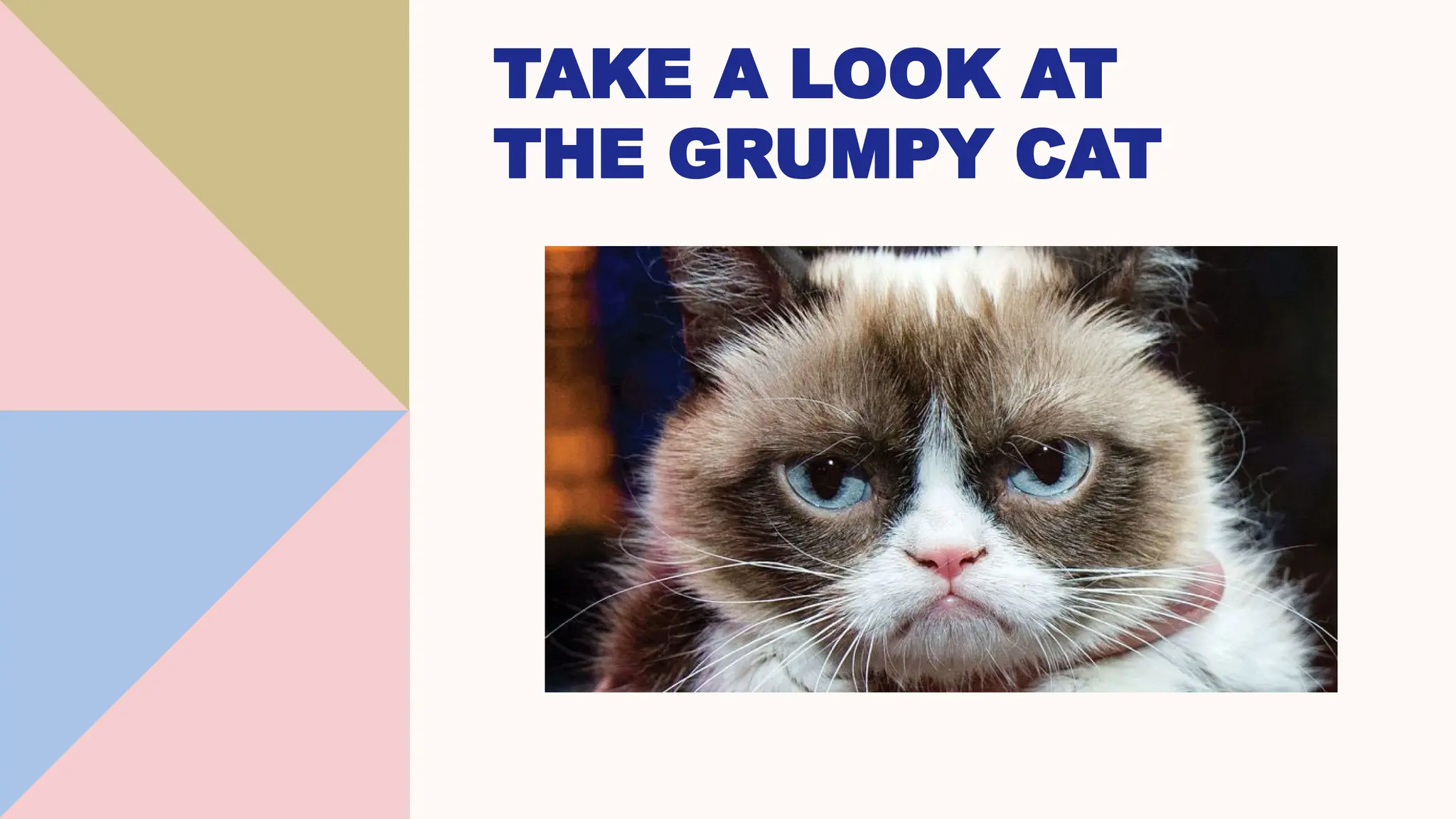 EVALUATING-MESSAGES-AND-IMAGES PURCOM.pptx