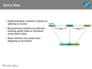 Evaluating Splice Site Variants in VarSeq | PDF